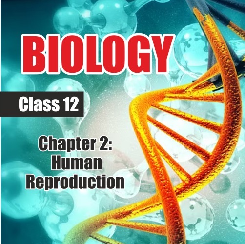 Diagnostic Assessment - Scoring top marks in board exams,Class 12 Biology