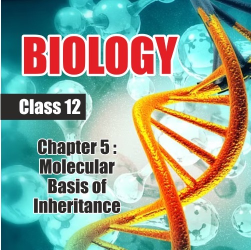 Diagnostic Assessment - Scoring top marks in board exams,Class 12 Biology