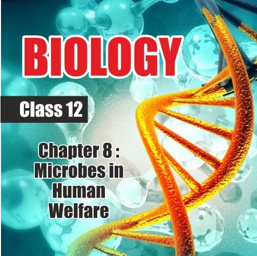 Diagnostic Assessment - Scoring top marks in board exams,Class 12 Biology