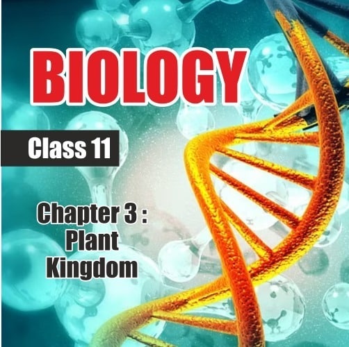 Diagnostic Assessment - Scoring top marks in board exams,Class 11 Biology