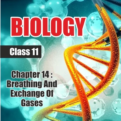 Diagnostic Assessment - Scoring top marks in board exams,Class 11 Biology