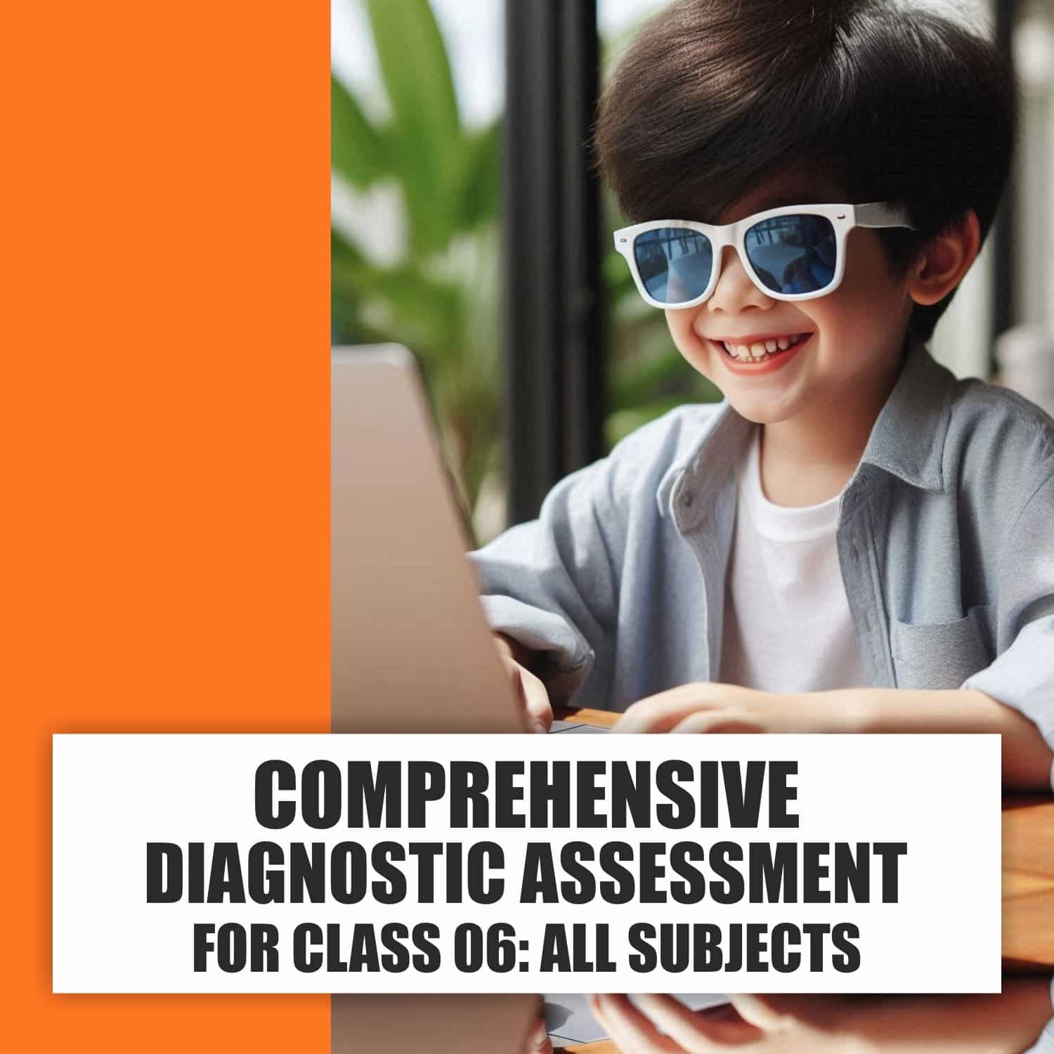 Diagnostic Assessment - Scoring top marks in board exams Diagnostic Assessment for CBSE board ...